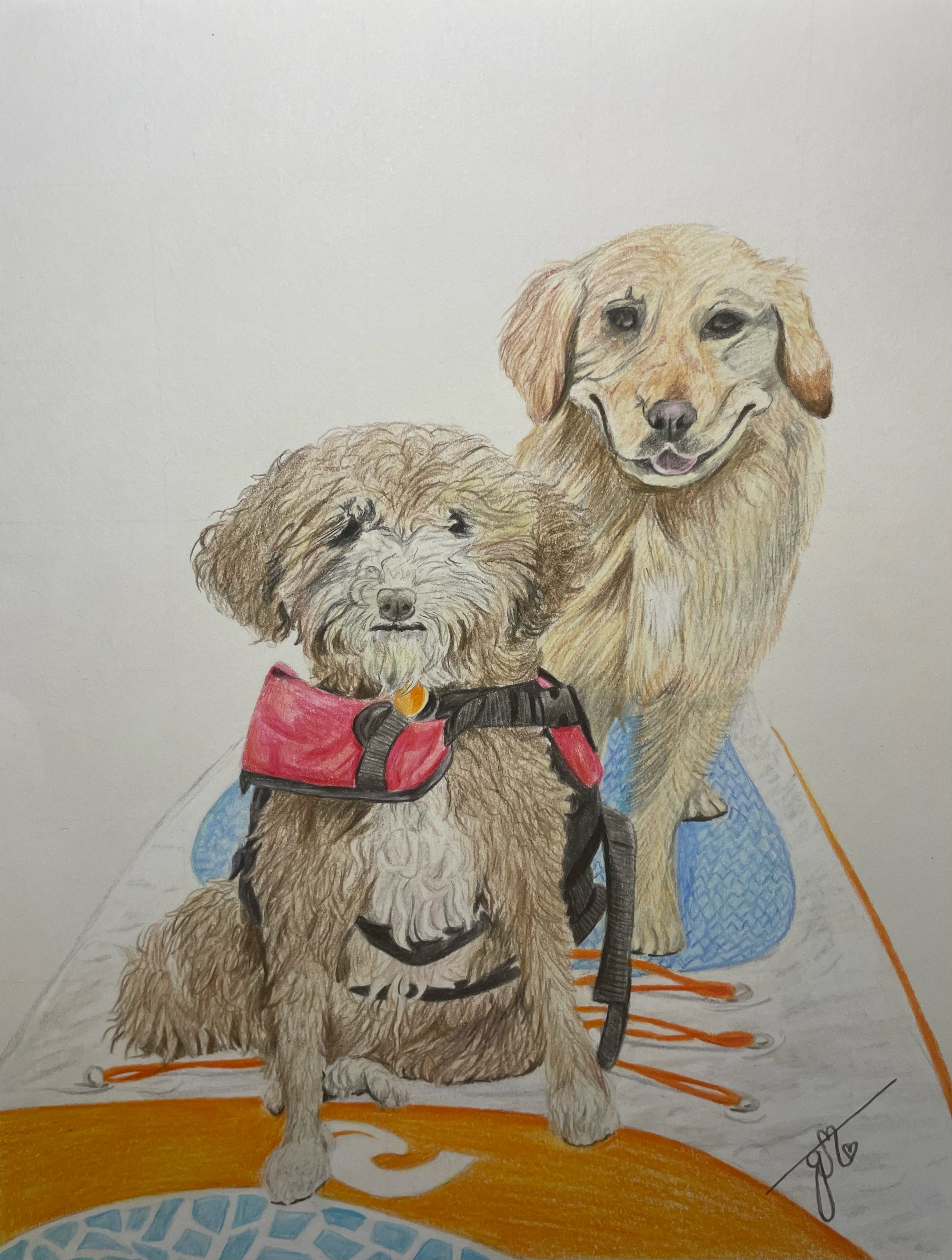 Personalized Pet Full Body Drawing – The Three Mutts